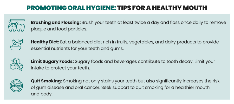 Oral Health and Overall Wellness: Exploring the Connection